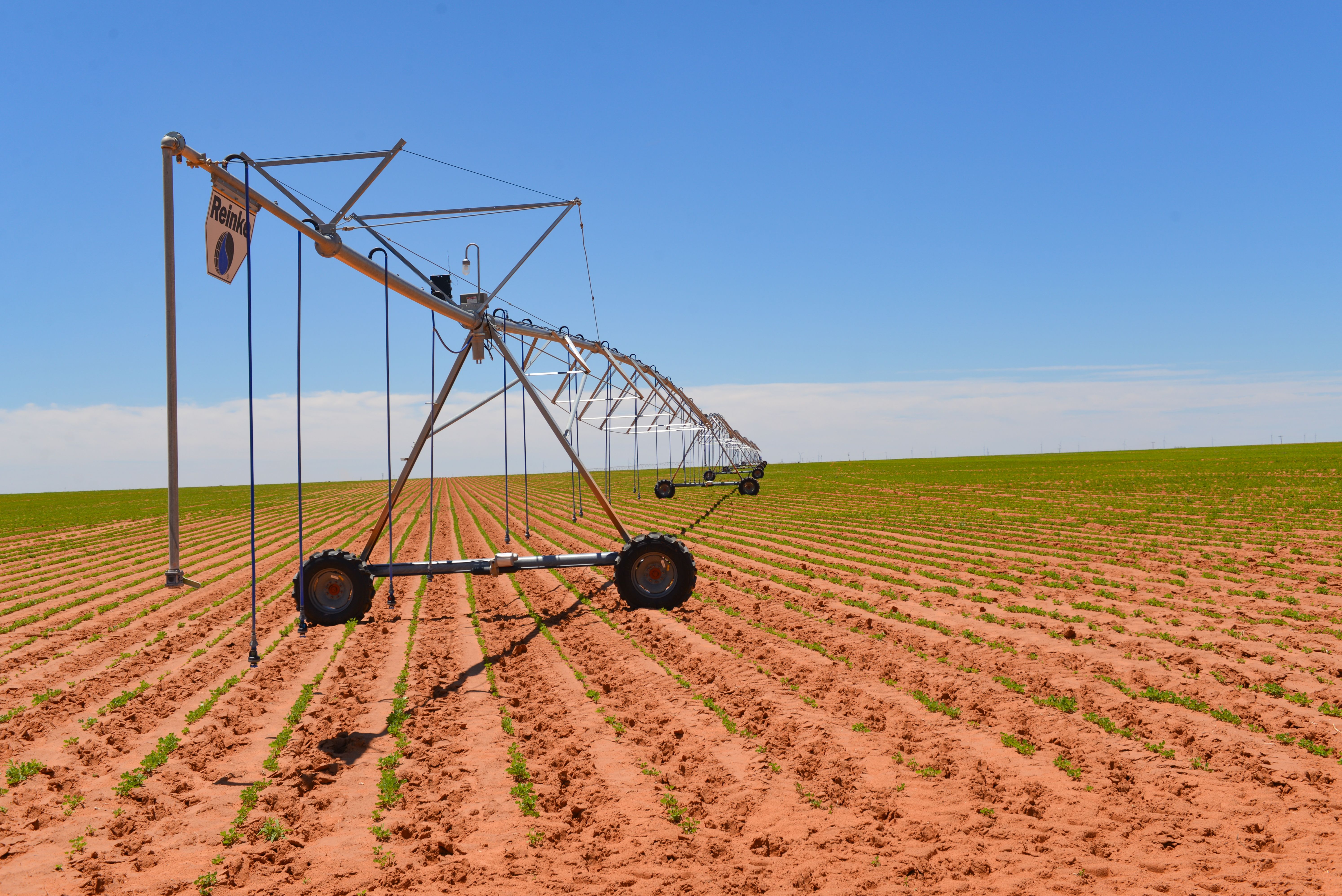 The Lehman Farm For Sale in Cochran County, Texas | Simpson Ranches & Land
