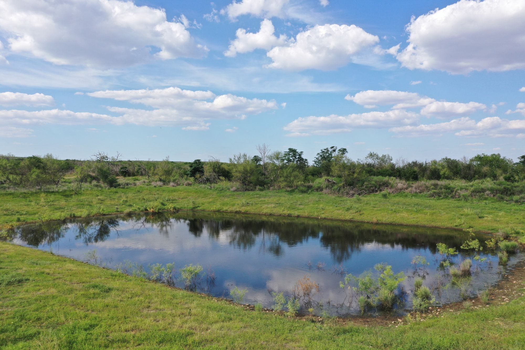 Frio Elm Creek Ranch For Sale in Frio County. | Simpson Ranches & Land