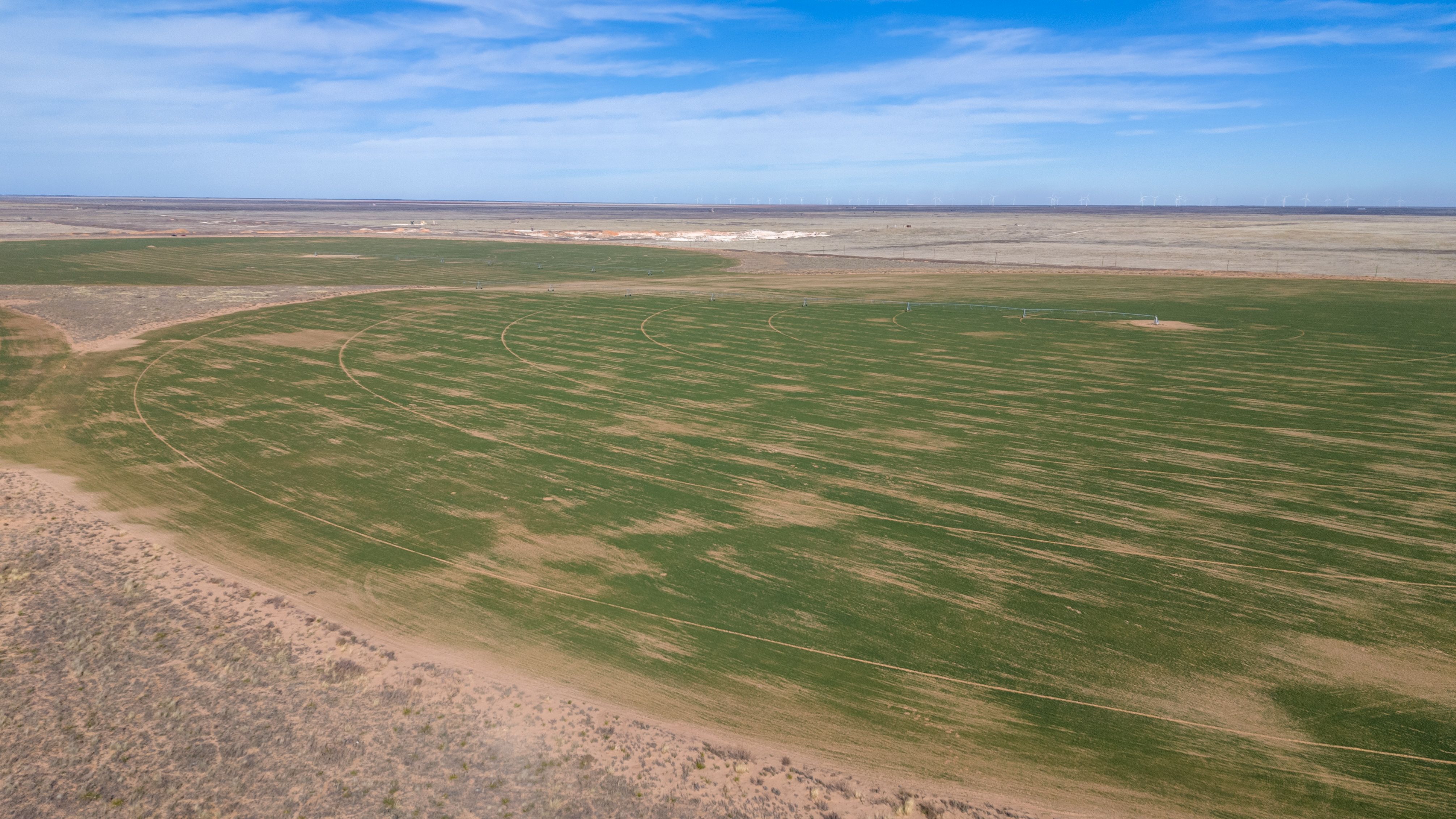 Lea County Organic Farm | Simpson Ranches & Land