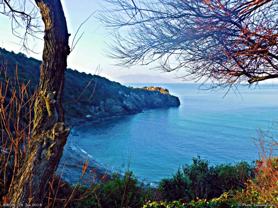Bastia to Piombino Ferry Tickets - Compare Prices & Times