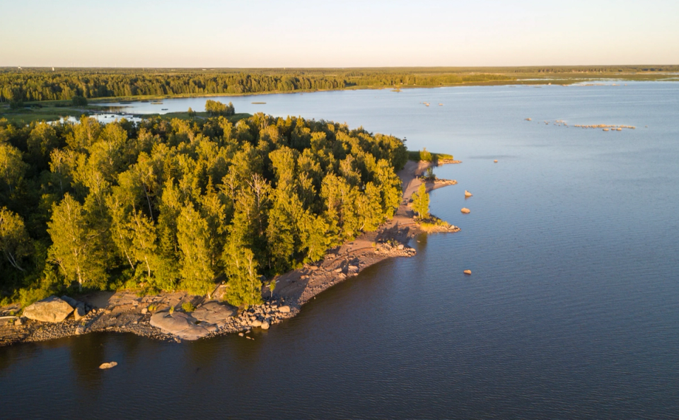 Umea to Vaasa Ferry Tickets - Compare Prices & Times