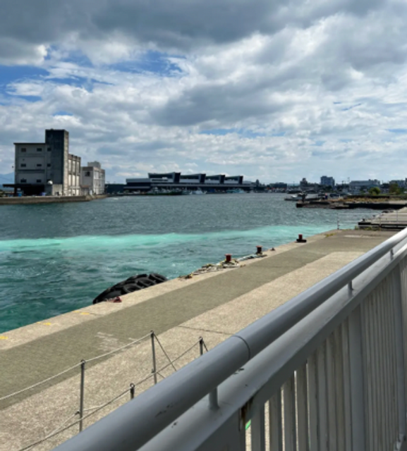 Anbo to Nishinoomote Biglietti del traghetto - Confronta prezzi e orari