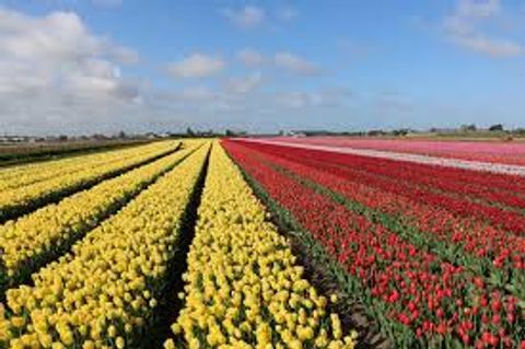 Welcome to Crossroad Tours! | Crossroad Tours, Inc.