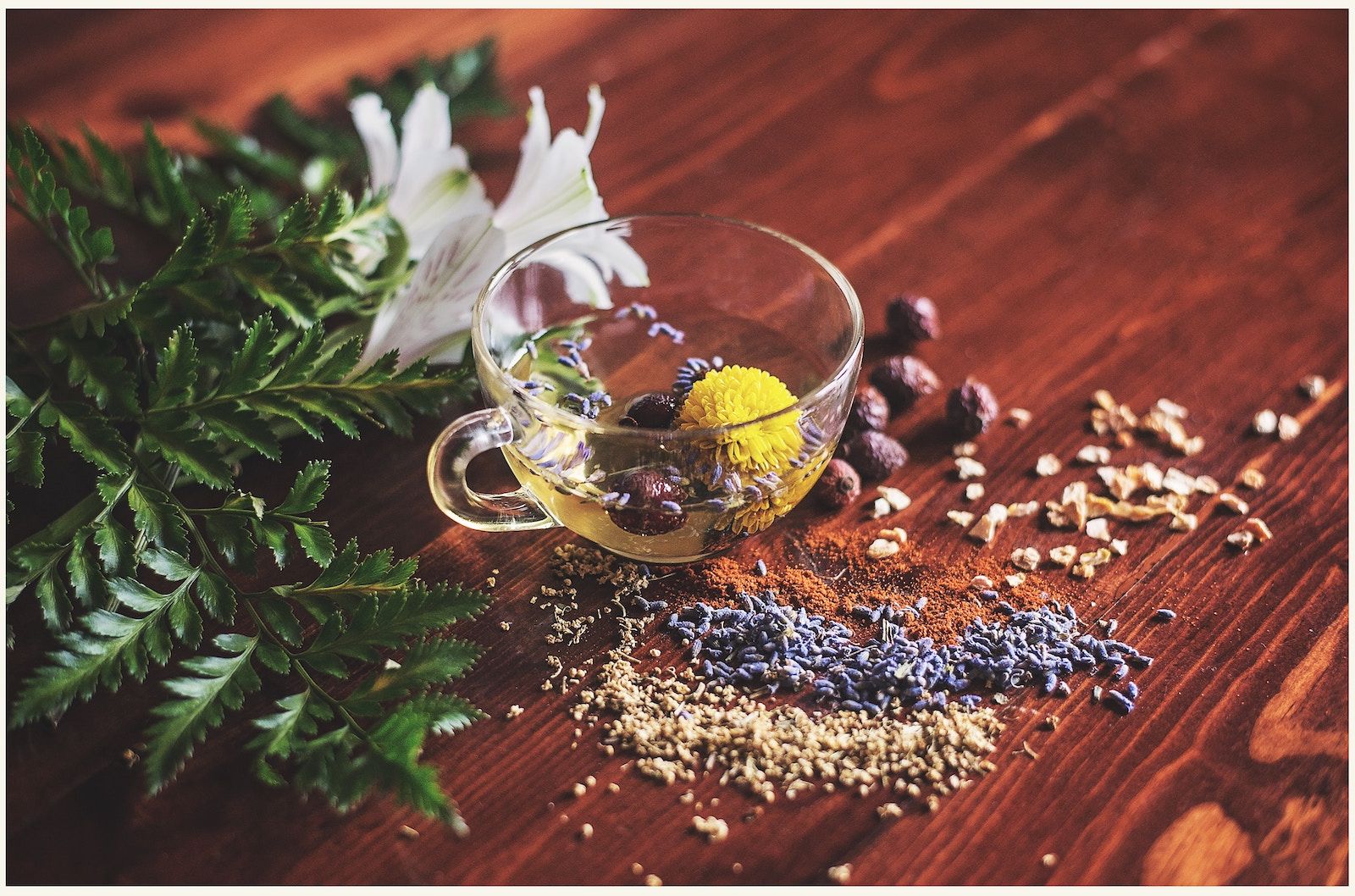 What Are Adaptogens And How Do They Work?