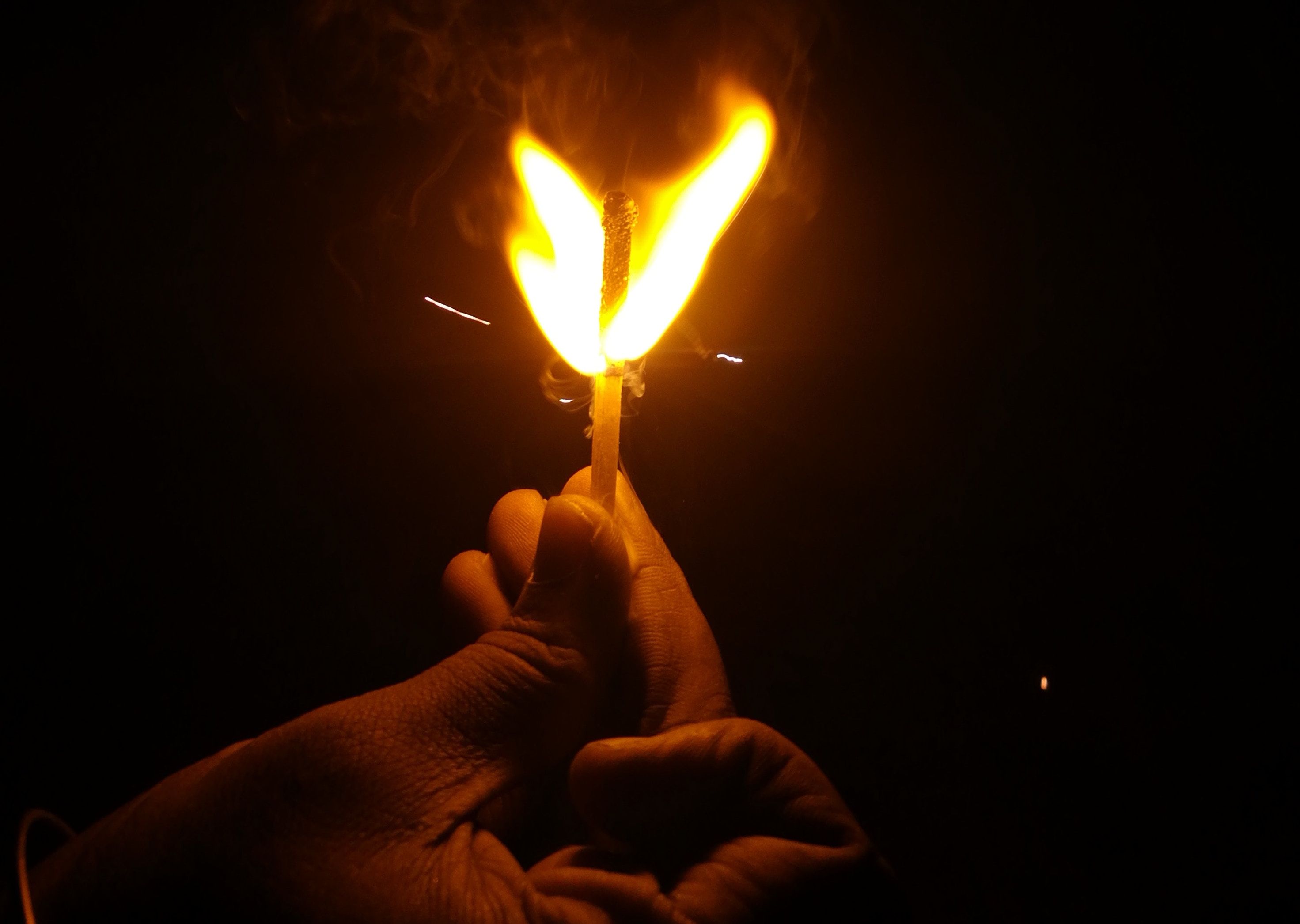 What is Inflammation? Everything You Need to Know and How to Reduce It