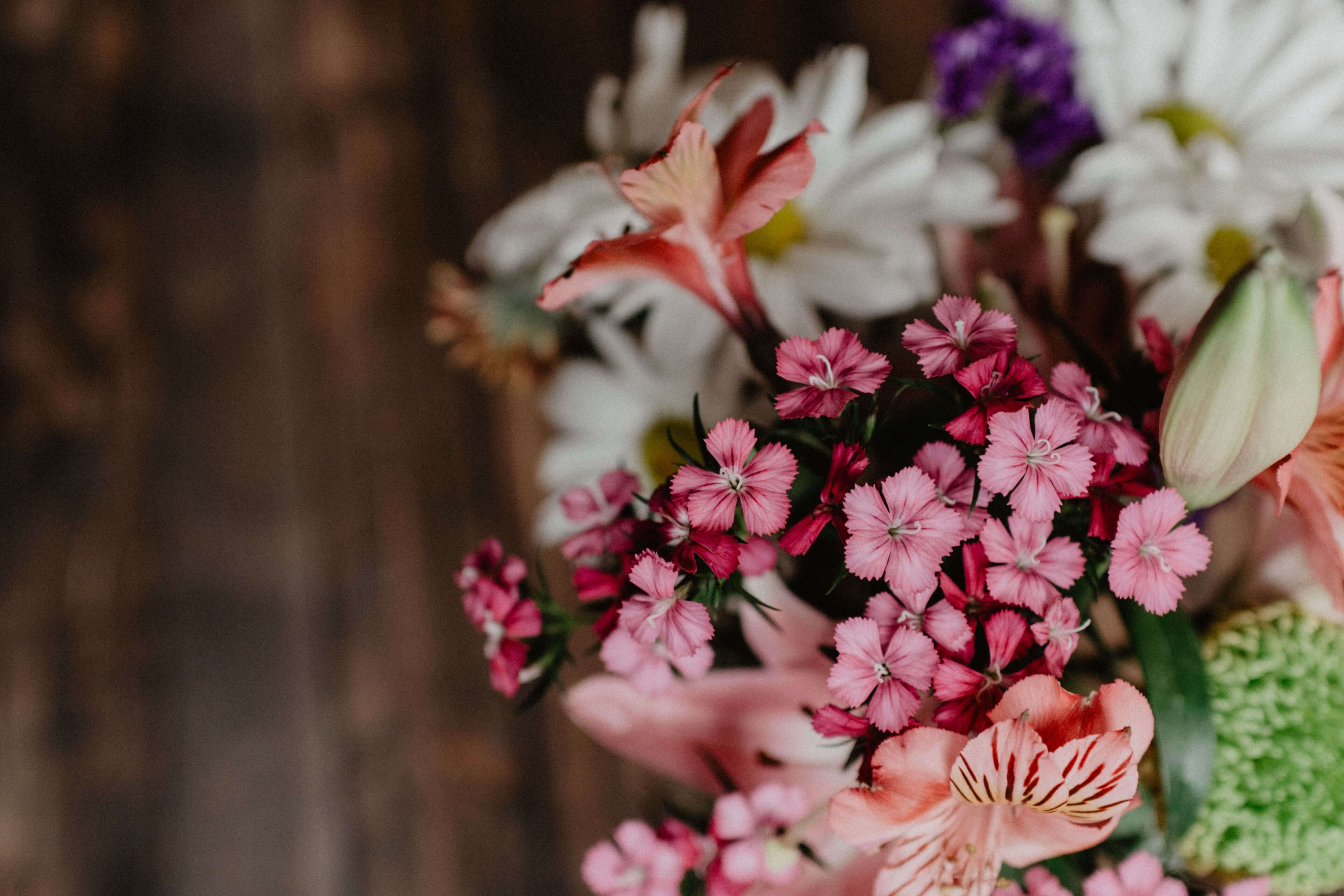 Die besten Blumenabos in einer Liste | Abo-Store