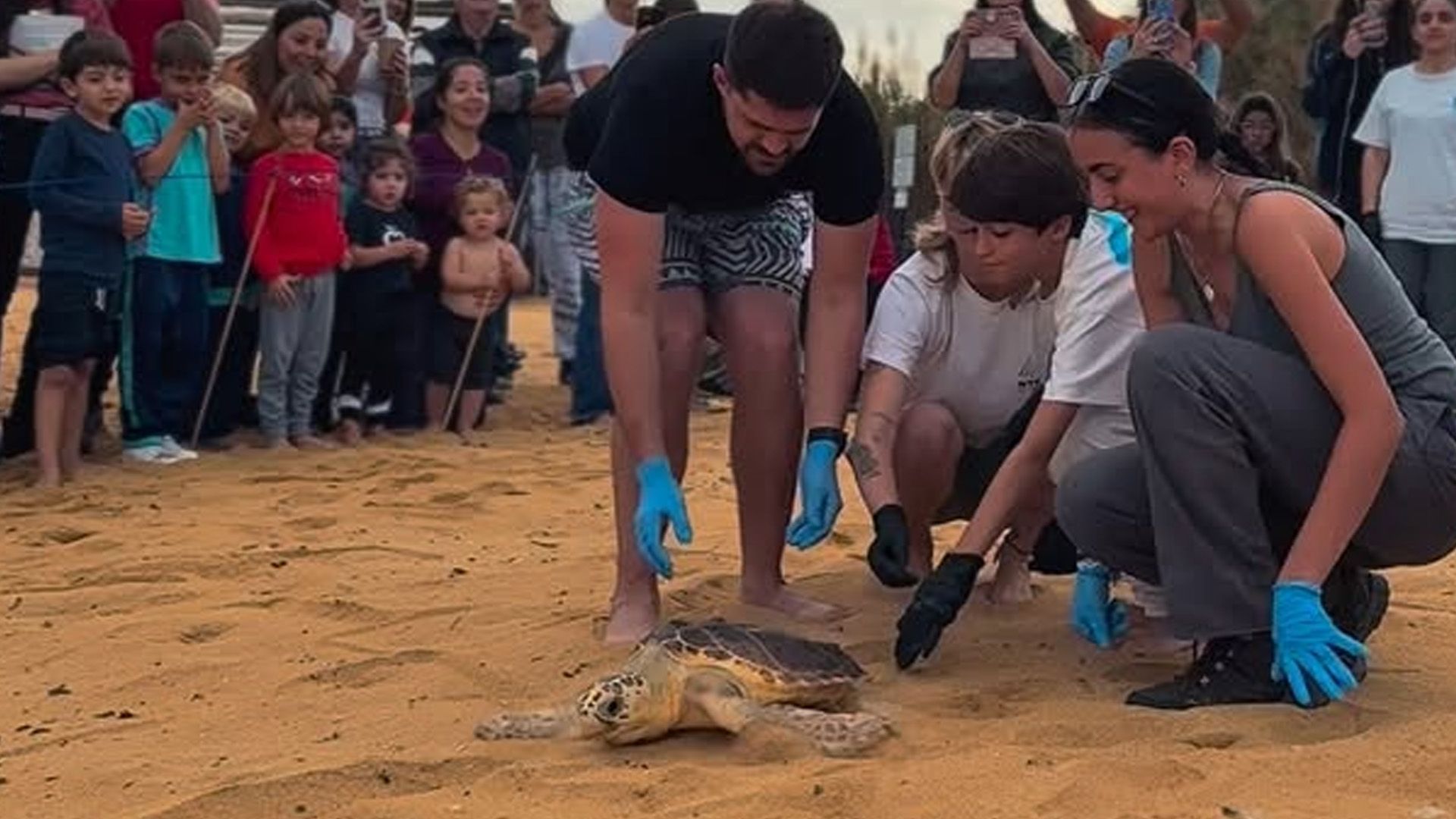 Lil Zibz the Turtle Freed by NGO Żibel