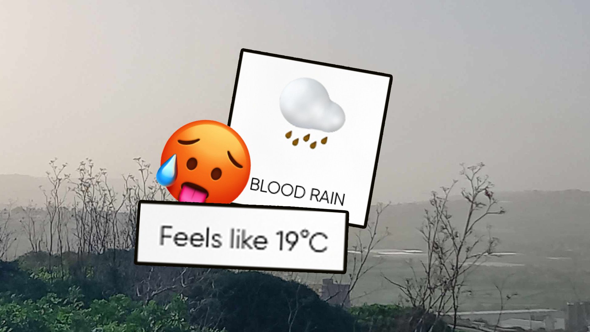 Desert Dust Turns Malta's Skies Red with Blood Rain