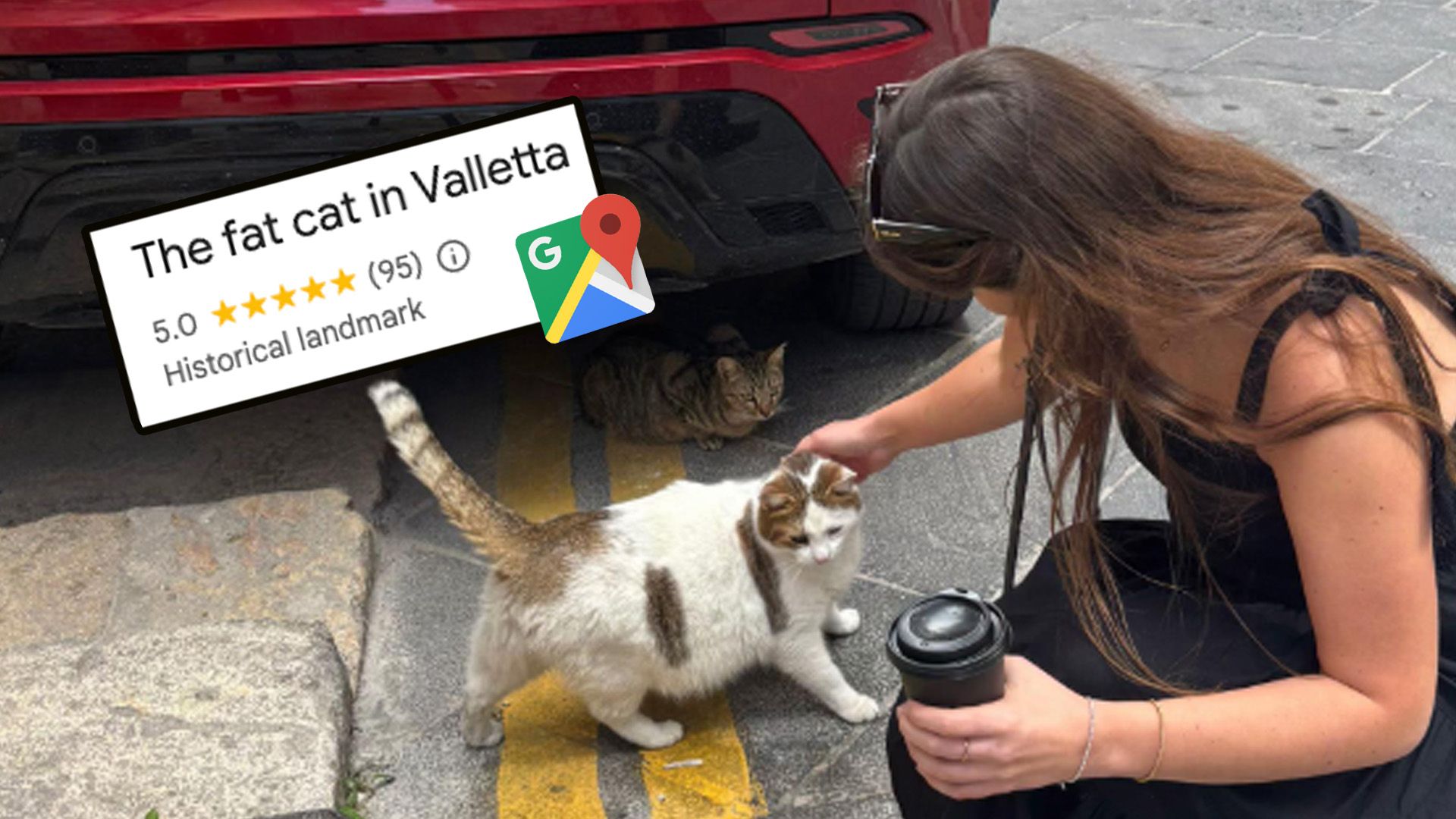 Tourist Locates Valletta’s Famous Google Maps Fat Cat