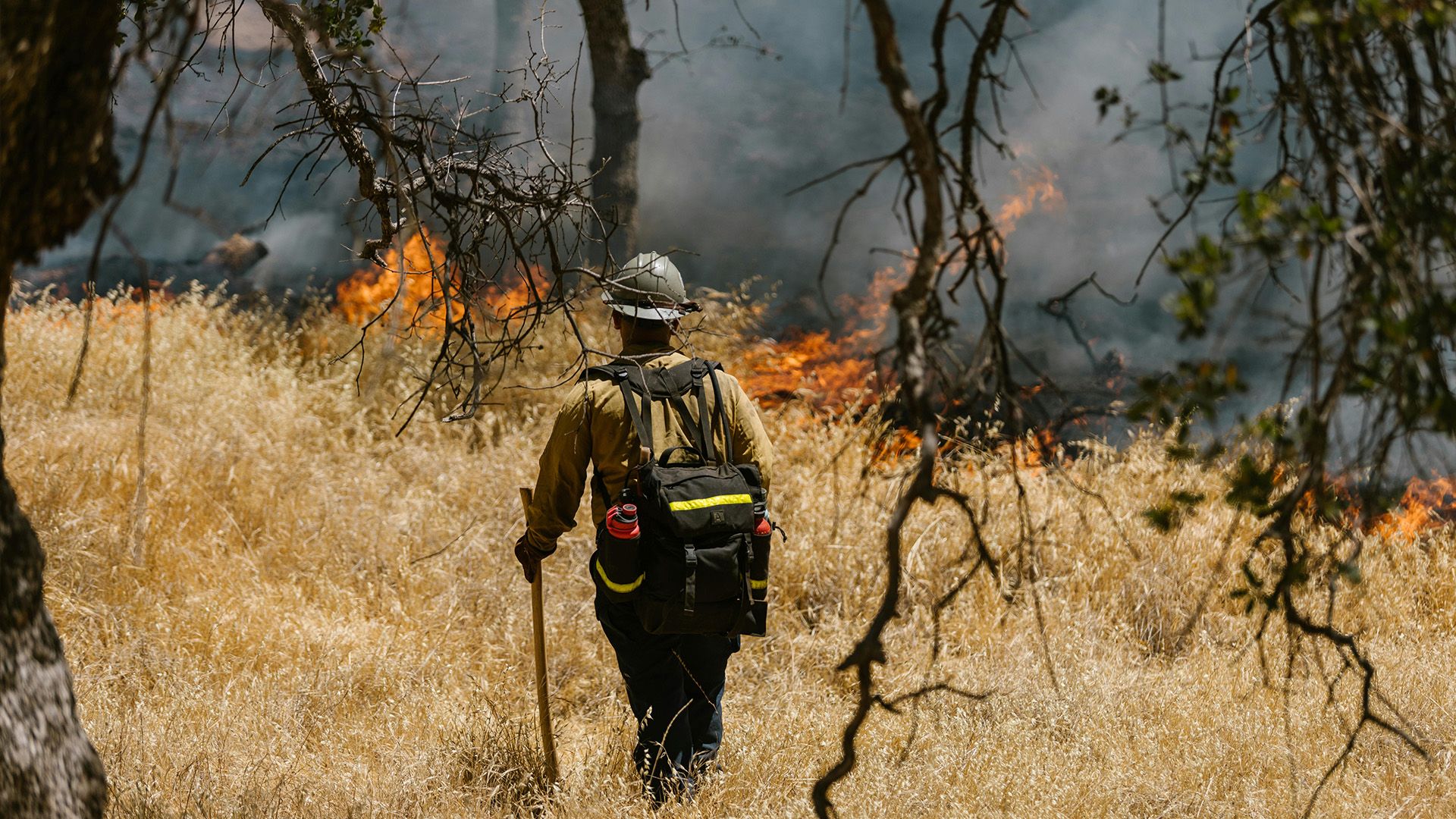 2025 Among Hottest Years as Climate Crisis Escalates
