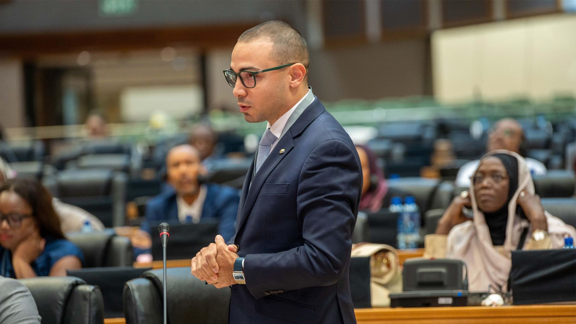 Daniel Attard at EP–Pan African Parliament Meeting