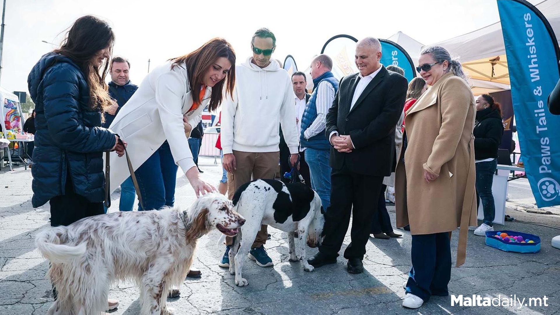 Animal Festival 2025: Celebration For Animal Protection