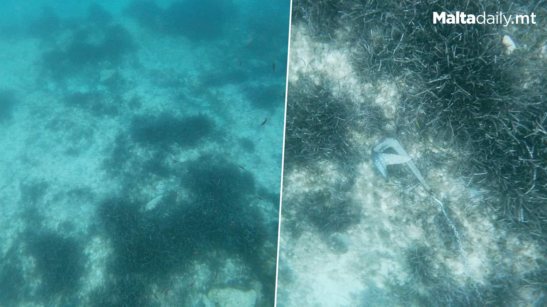 Marine Biologist Shows Damage To Comino Seabed Caused By Un…