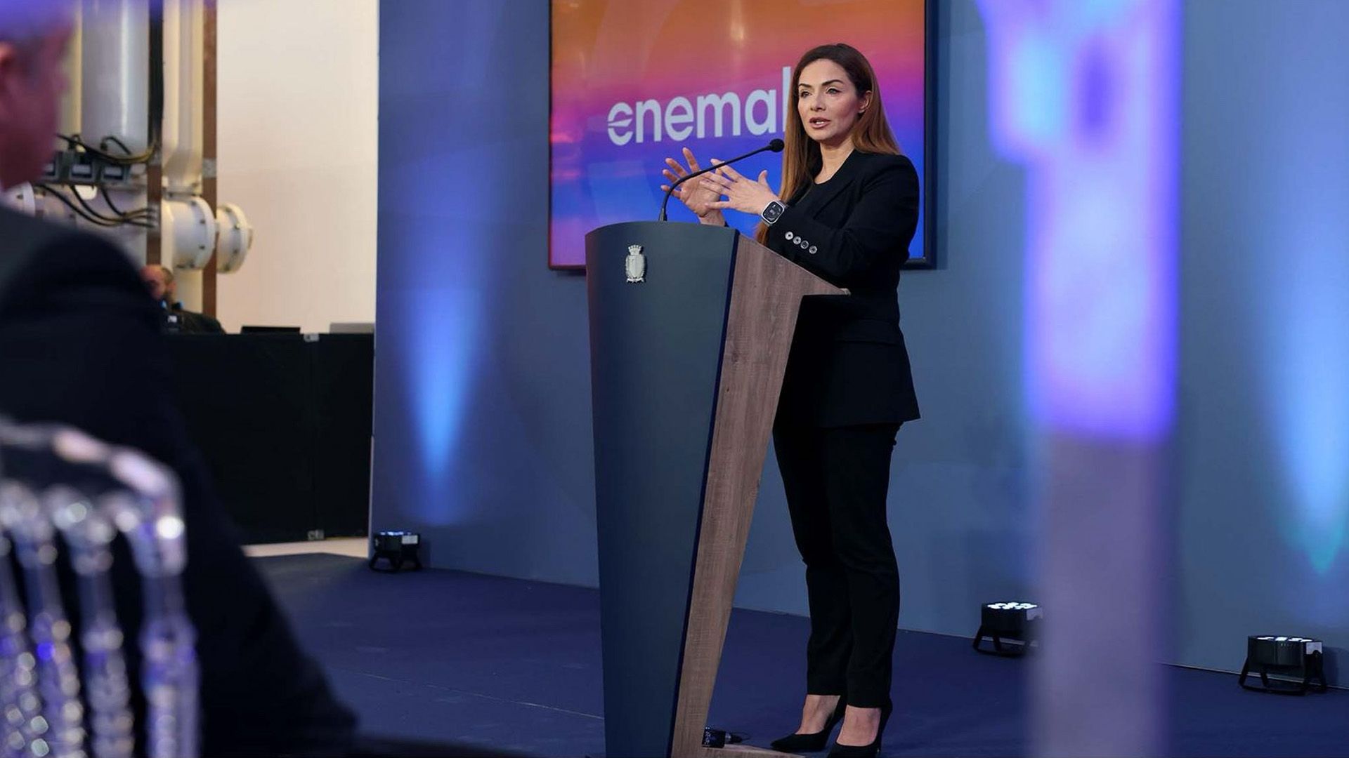 Malta's 9-Year Plan to Enhance Electricity Grid Launched