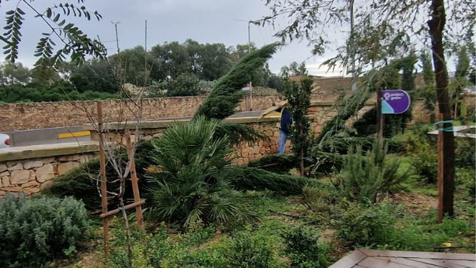 Storm Harry Damages Malta’s Parks and Gardens
