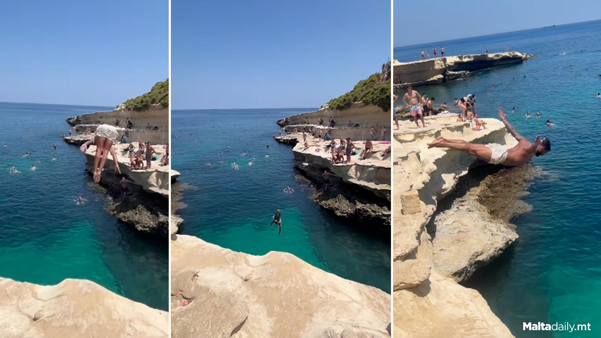 Maltese Goes Viral For Wild Jumps At St Peter’s Pool