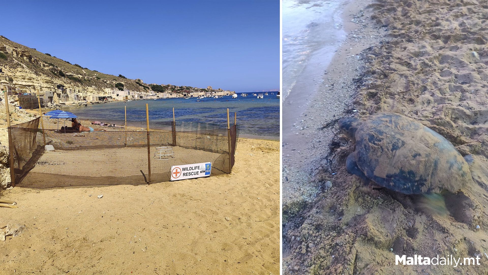 Public Urged To Be Careful At Beaches As Turtles Nesting Se…
