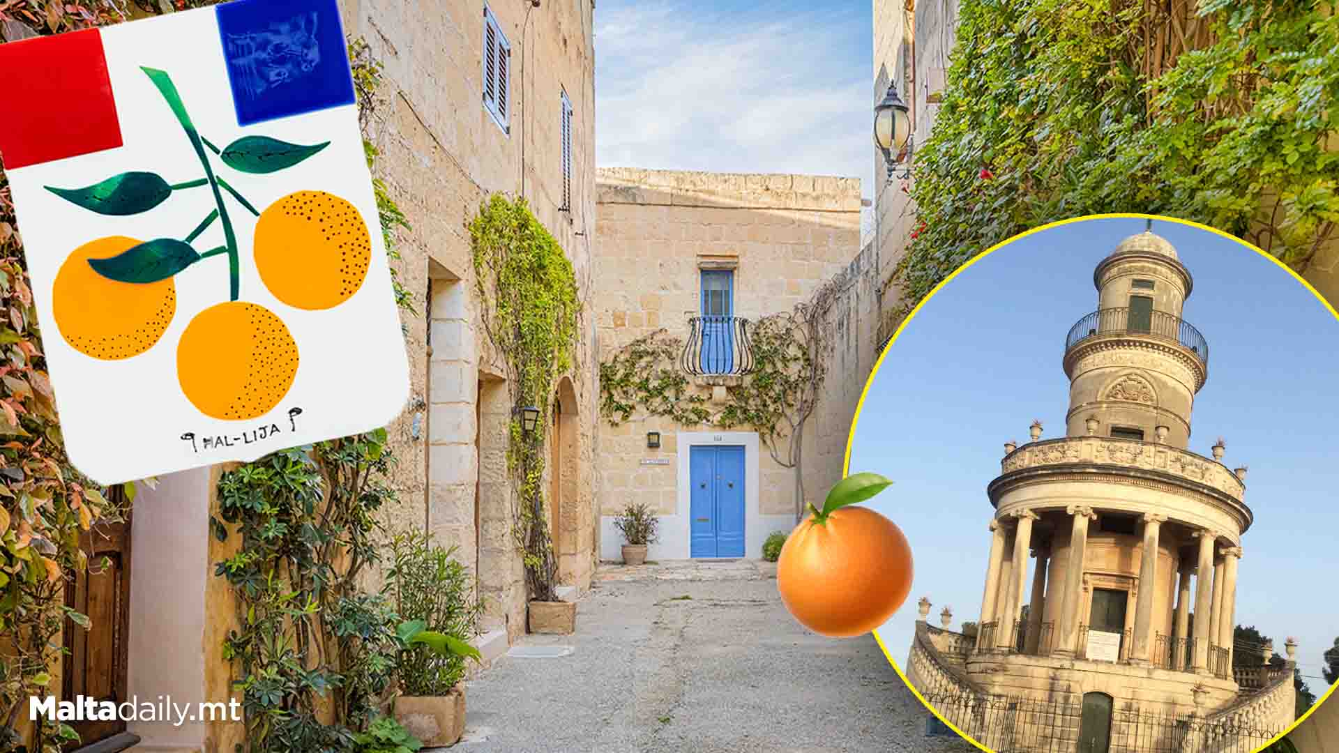 Fun Facts You Didn’t Know About: Lija!