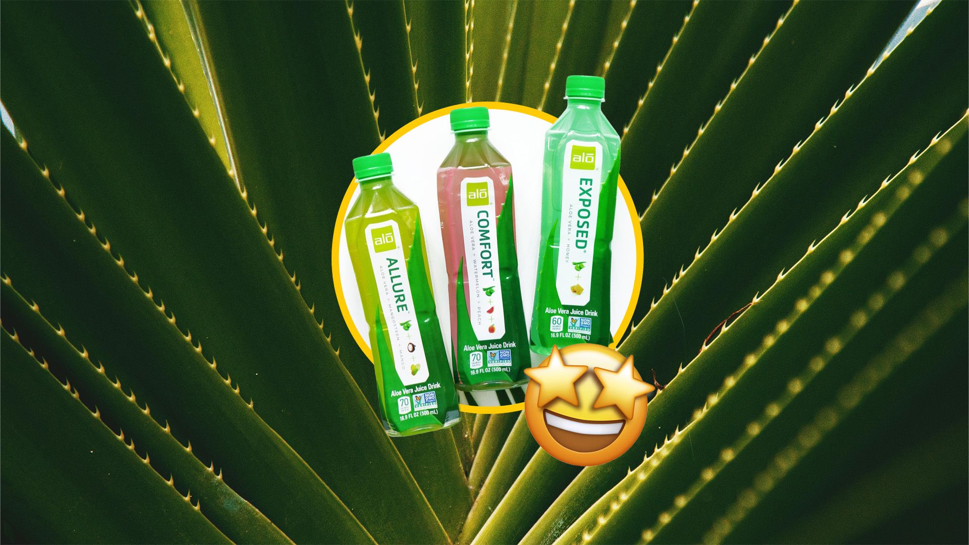 Why Aloe Vera Drinks Are Essential for Health