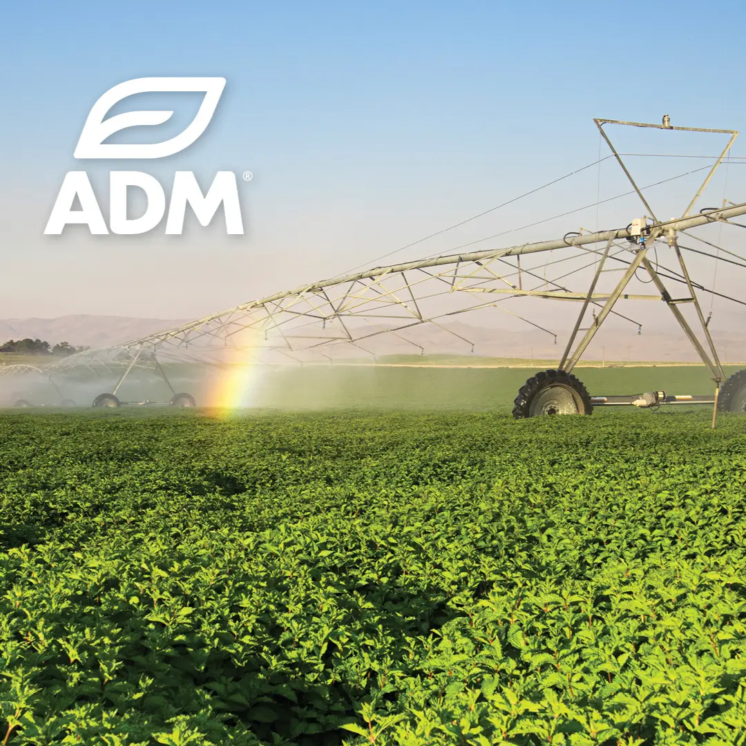 From classroom to career: How ADM nurtures future talent | Handshake