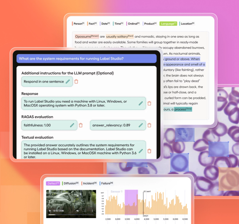 Label Studio Enterprise | HumanSignal
