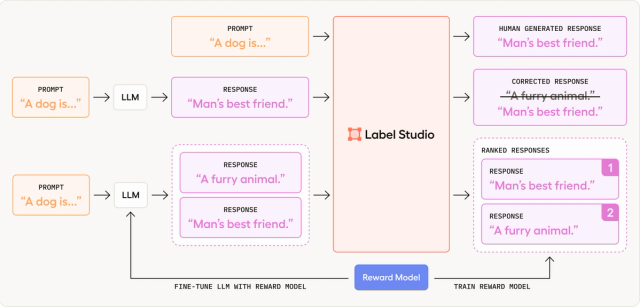 Fine Tune Foundation Models | HumanSignal
