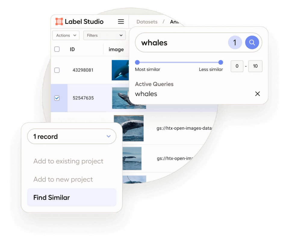 Data Labeling Platform for Machine Learning | HumanSignal