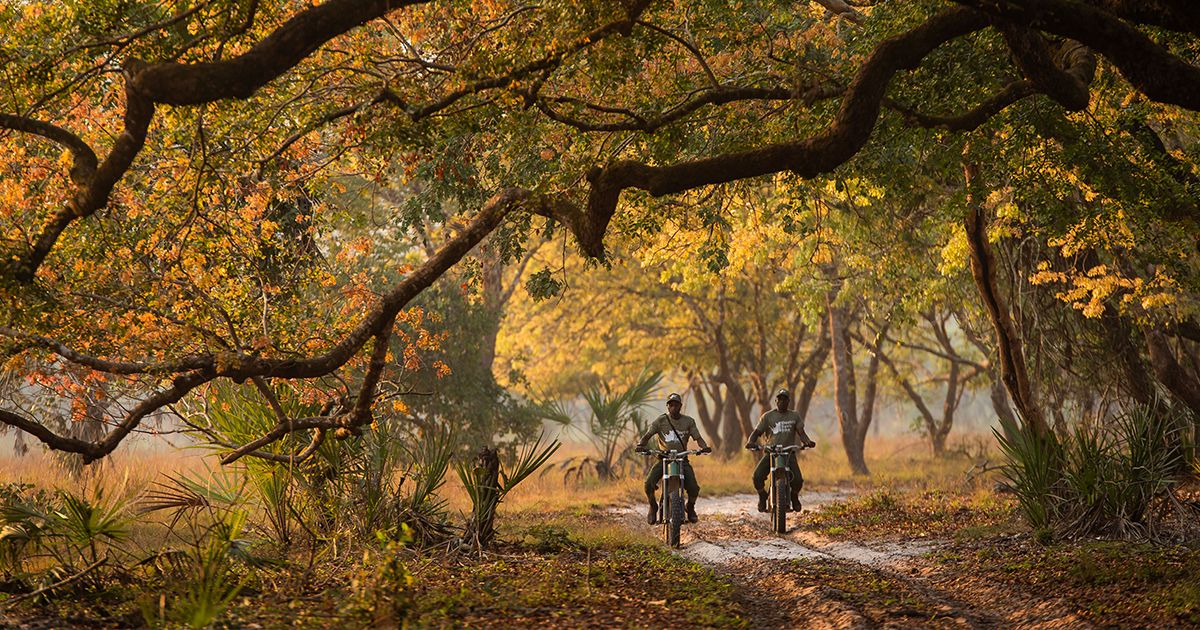 Anti-poaching partners | CAKE