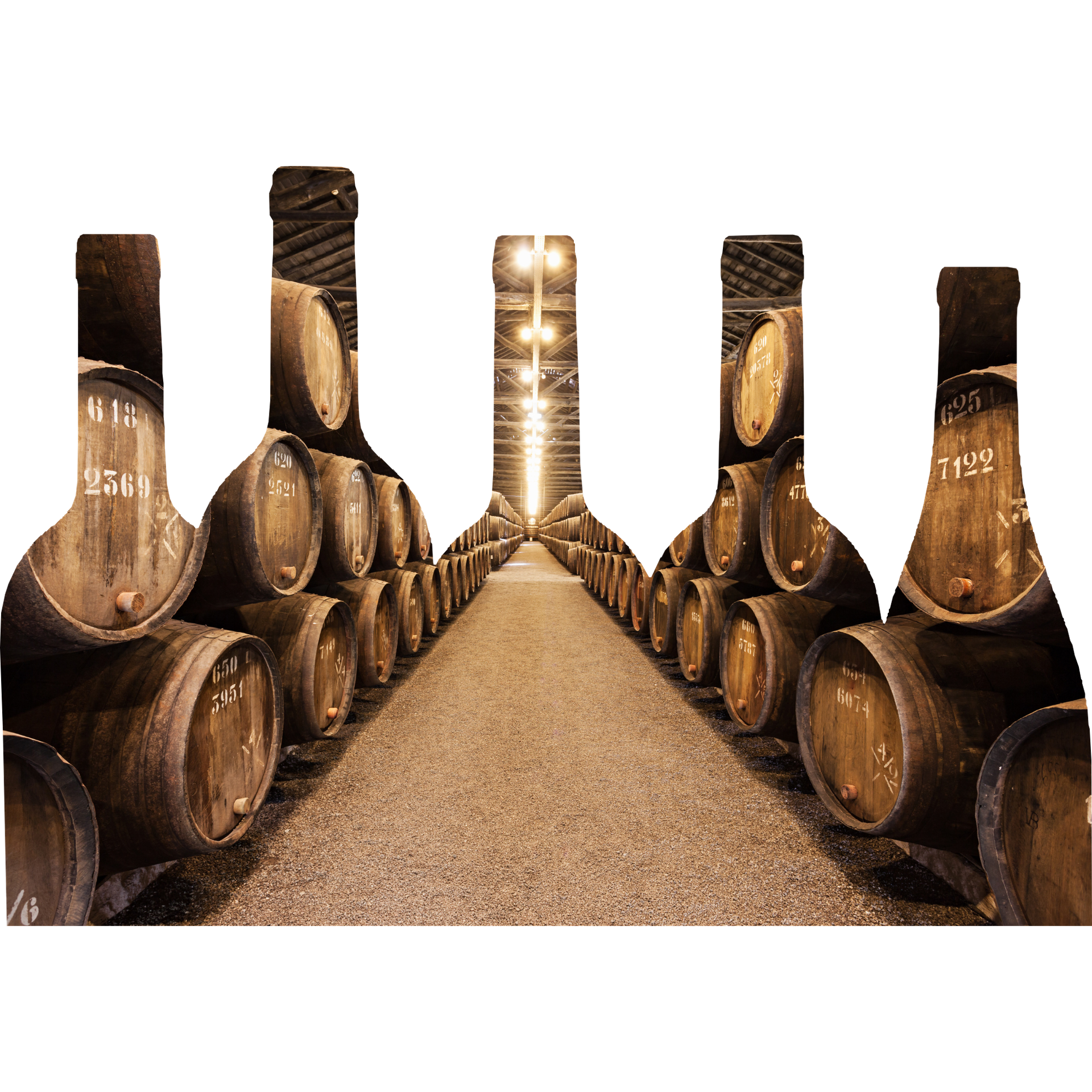 Bordeaux Wine Region: Left vs. Right Bank Guide | Wineandbarrels