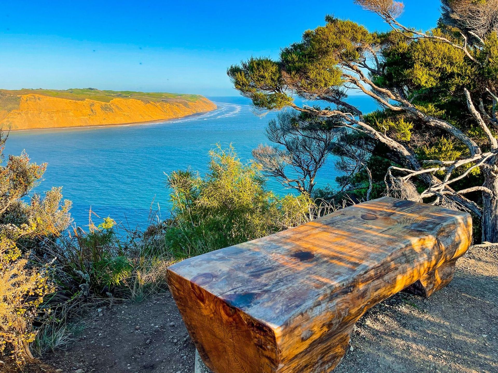 Omanawanui Track | West Auckland - New Zealand Trip Ideas