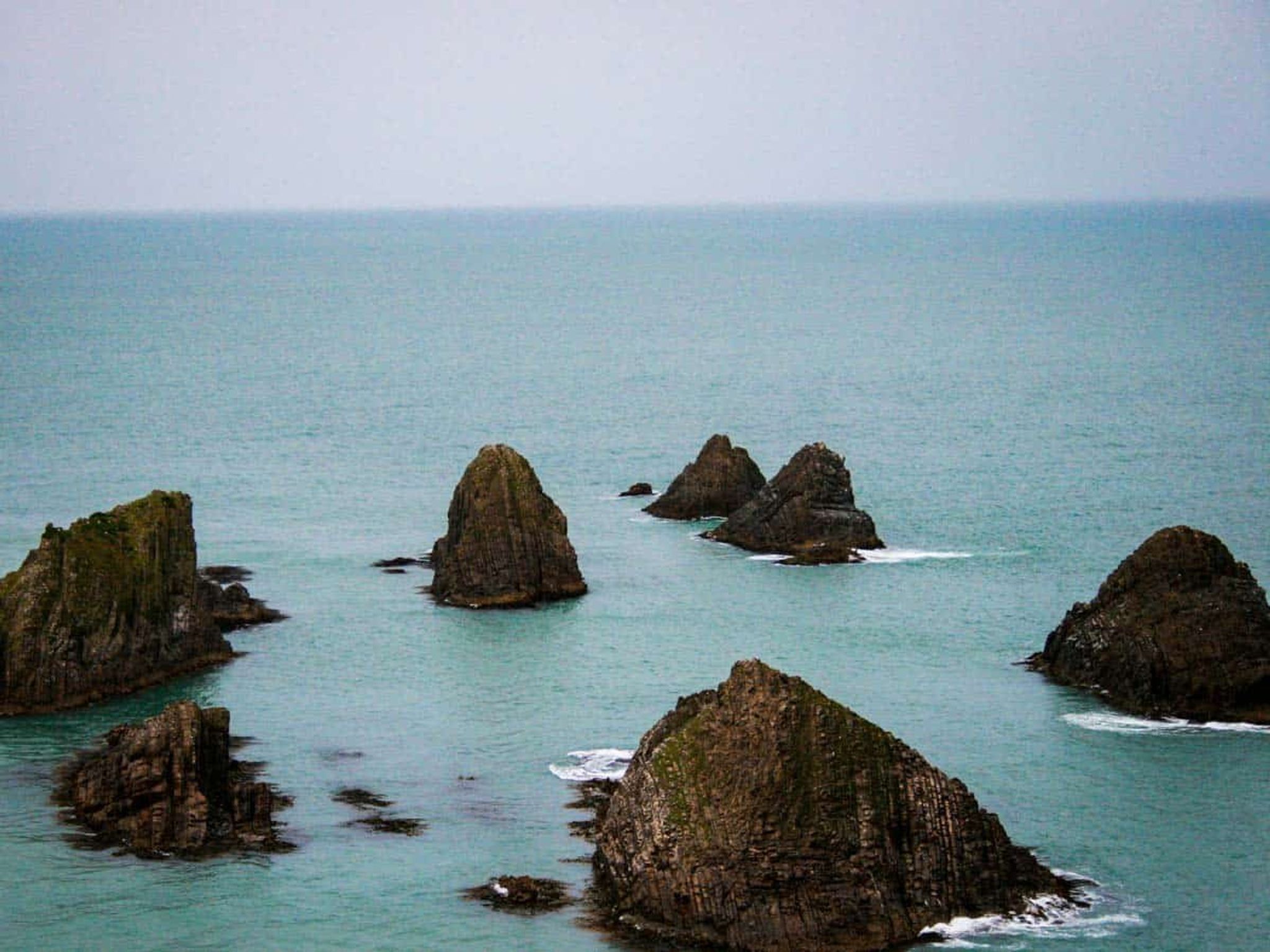 Nugget Point | Catlins - New Zealand Trip Ideas