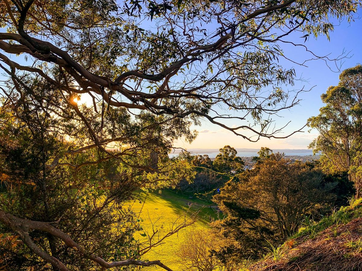 Mount Albert Ōwairaka | Central Auckland - New Zealand Trip Ideas