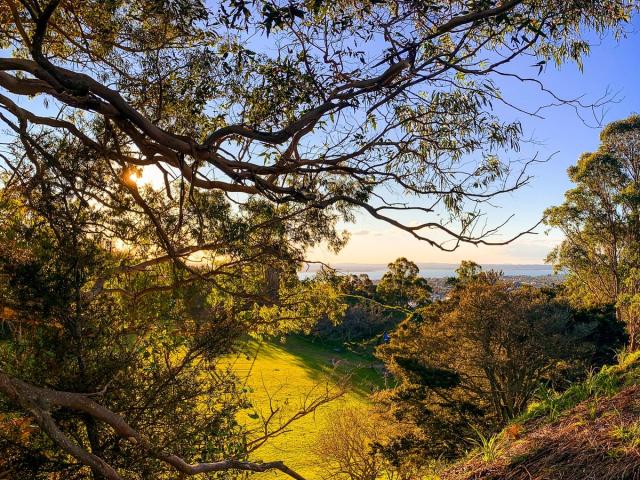 Mount Albert Ōwairaka | Central Auckland - New Zealand Trip Ideas