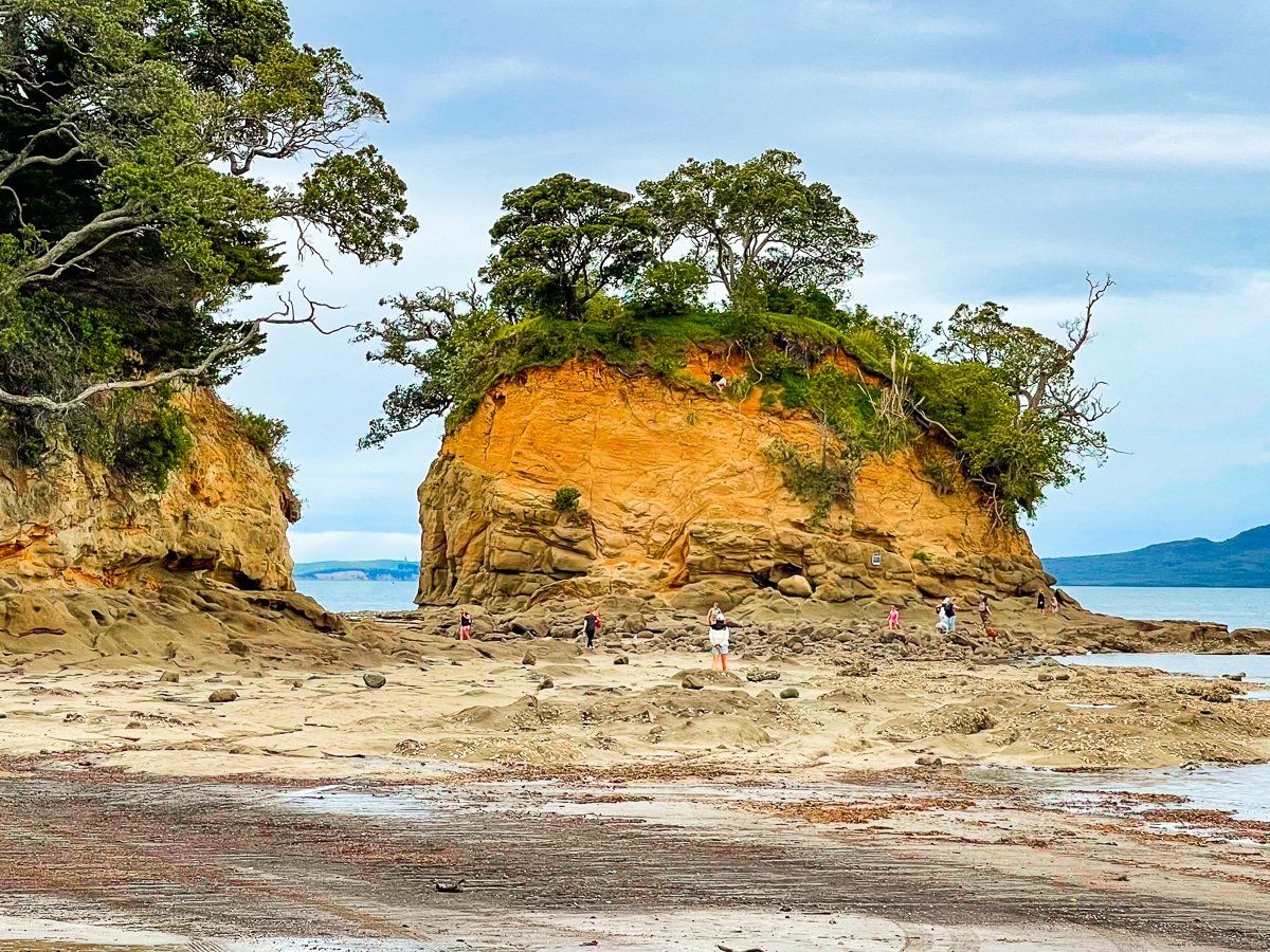 Torbay Waiake Beach | North Auckland - New Zealand Trip Ideas