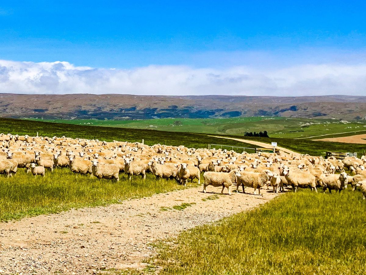 Old Dunstan Road | Central Otago - New Zealand Trip Ideas