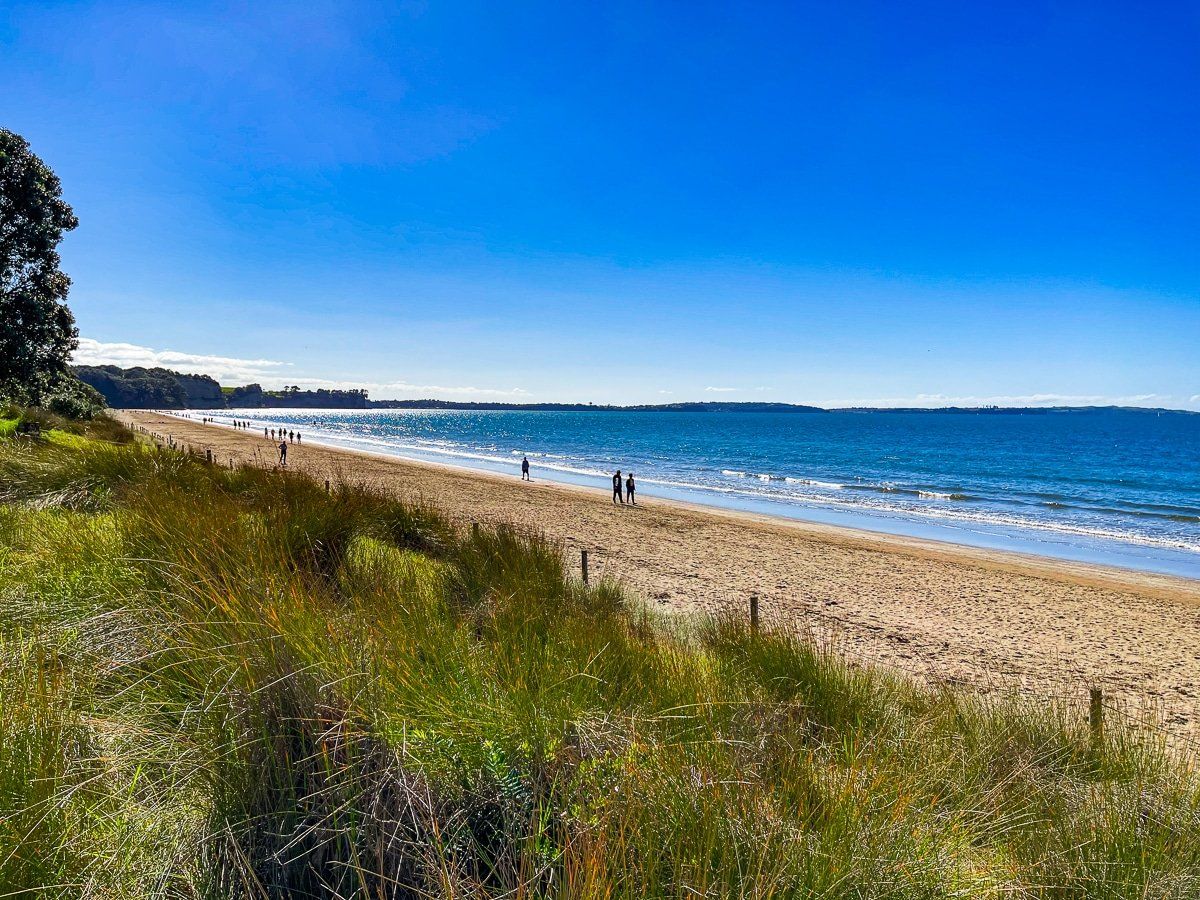 Long Bay Beach | North Auckland - New Zealand Trip Ideas