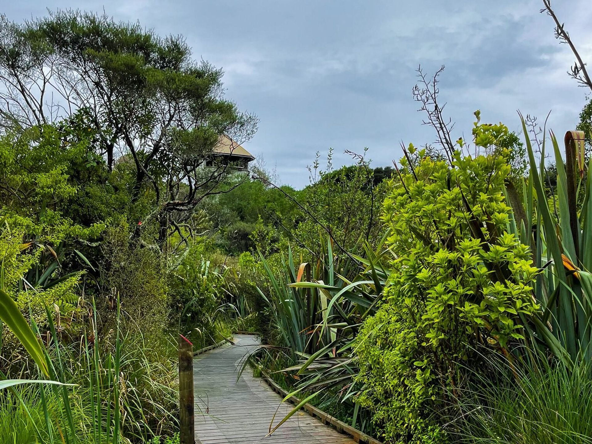 Ngā Manu | Kāpiti Coast - New Zealand Trip Ideas