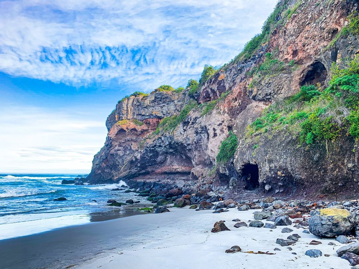 Tomahawk Beach | Dunedin - New Zealand Trip Ideas