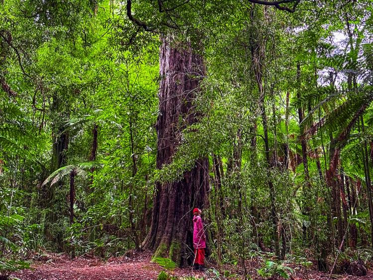 Unveil New Zealand's Hidden Gems - New Zealand Trip Ideas