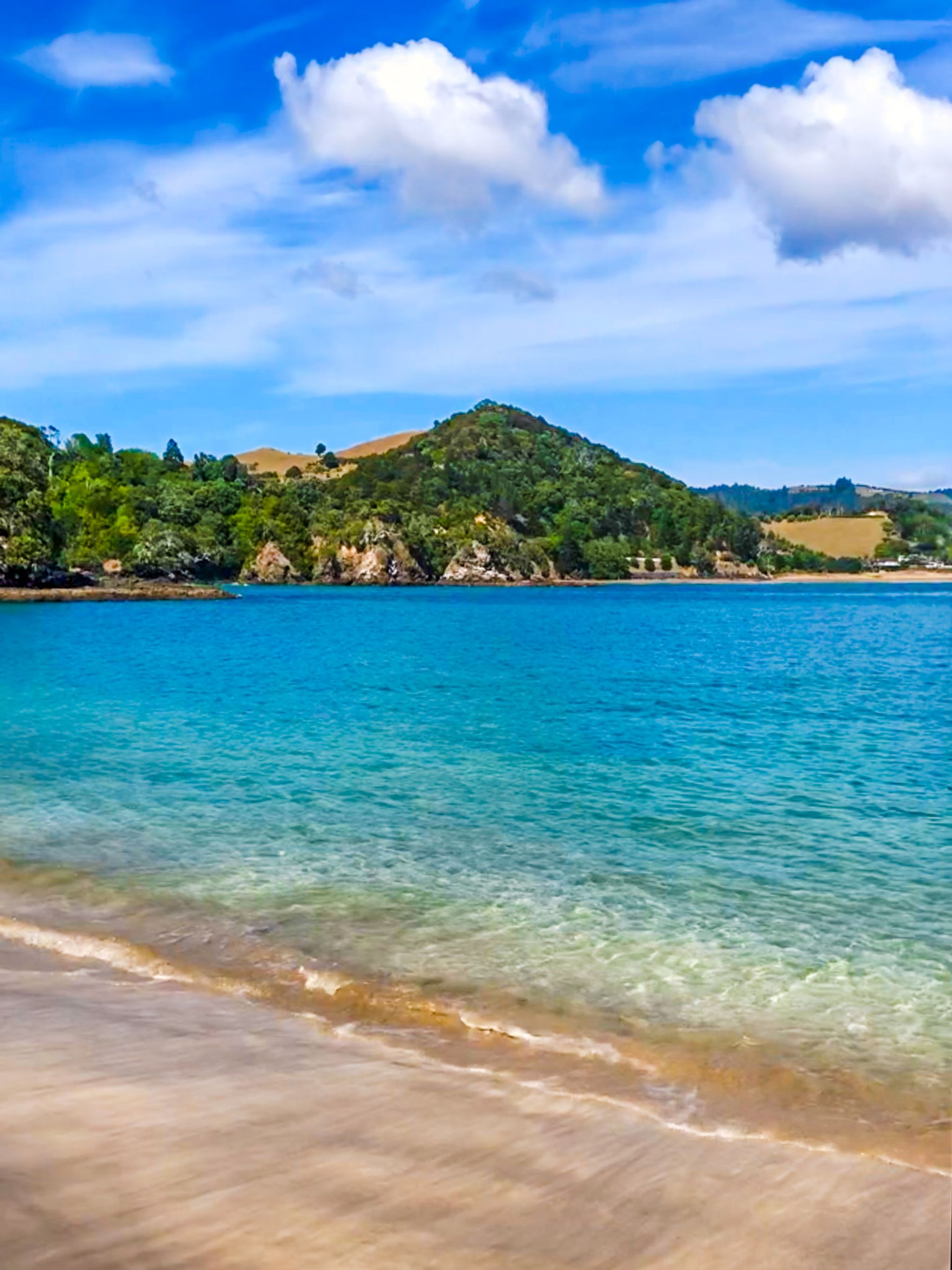 Whale Bay | Tutukaka Coast and Whangārei - New Zealand Trip Ideas