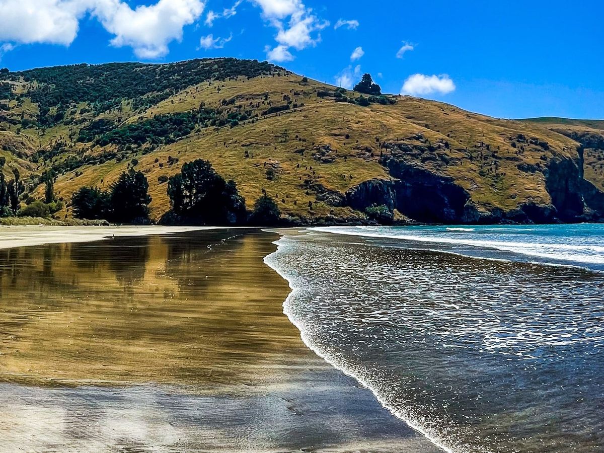Le Bons Bay | Banks Peninsula - New Zealand Trip Ideas