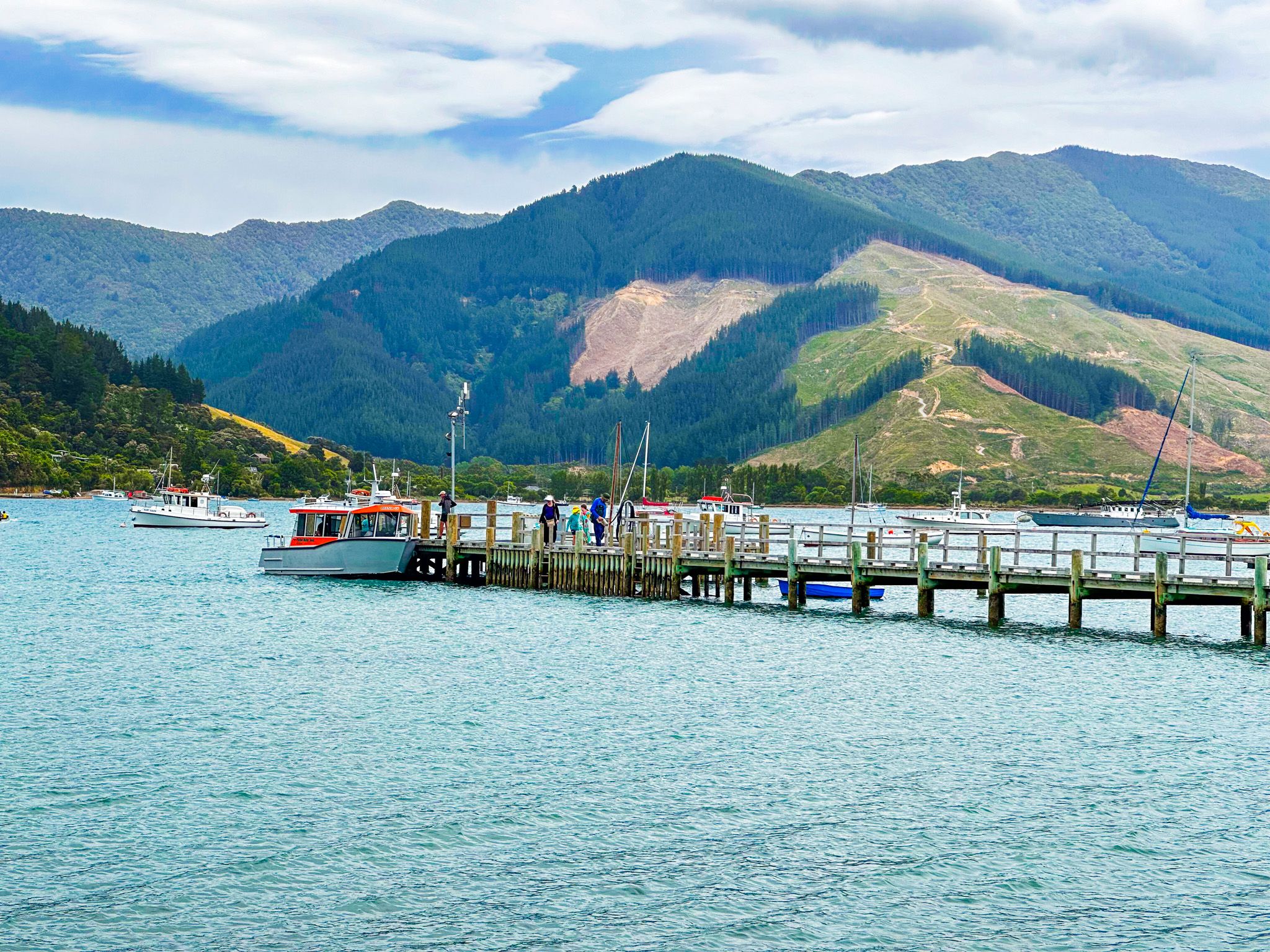 Anakiwa | Marlborough Sounds - New Zealand Trip Ideas