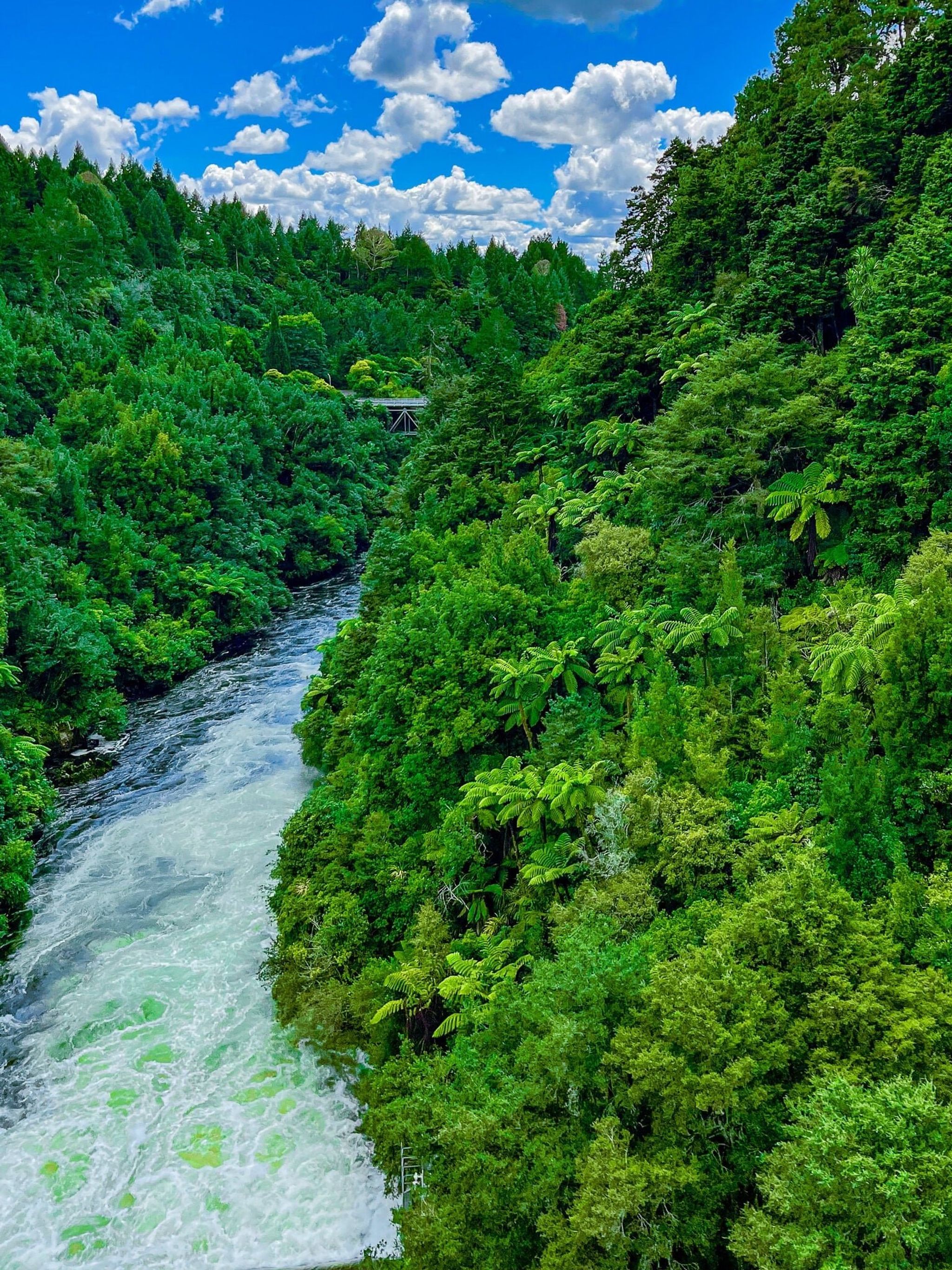 Arapuni | Hamilton - New Zealand Trip Ideas