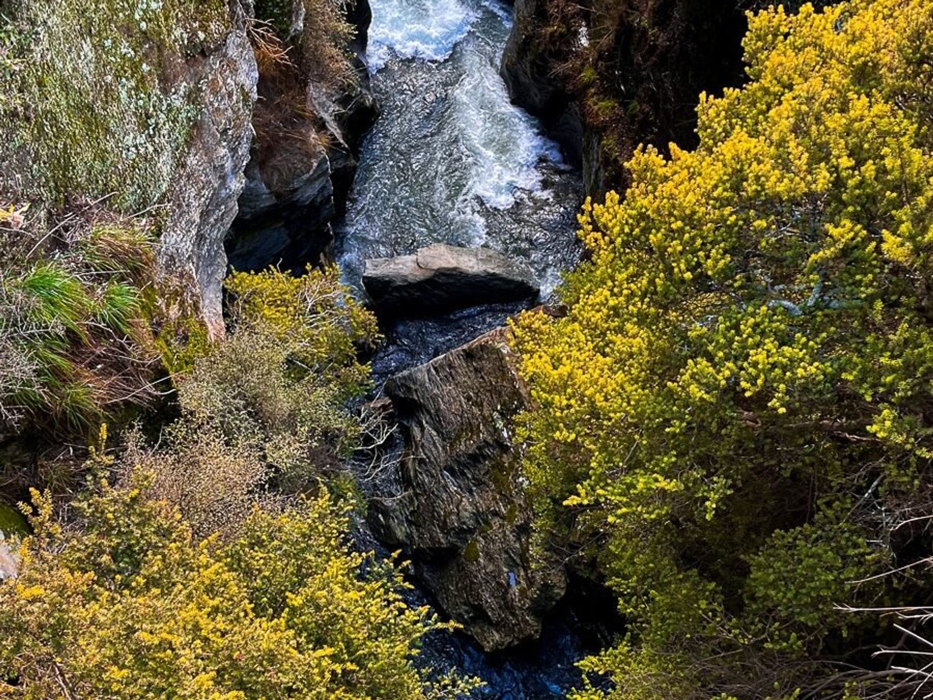 Motatapu Gorge | Queenstown Lakes - New Zealand Trip Ideas