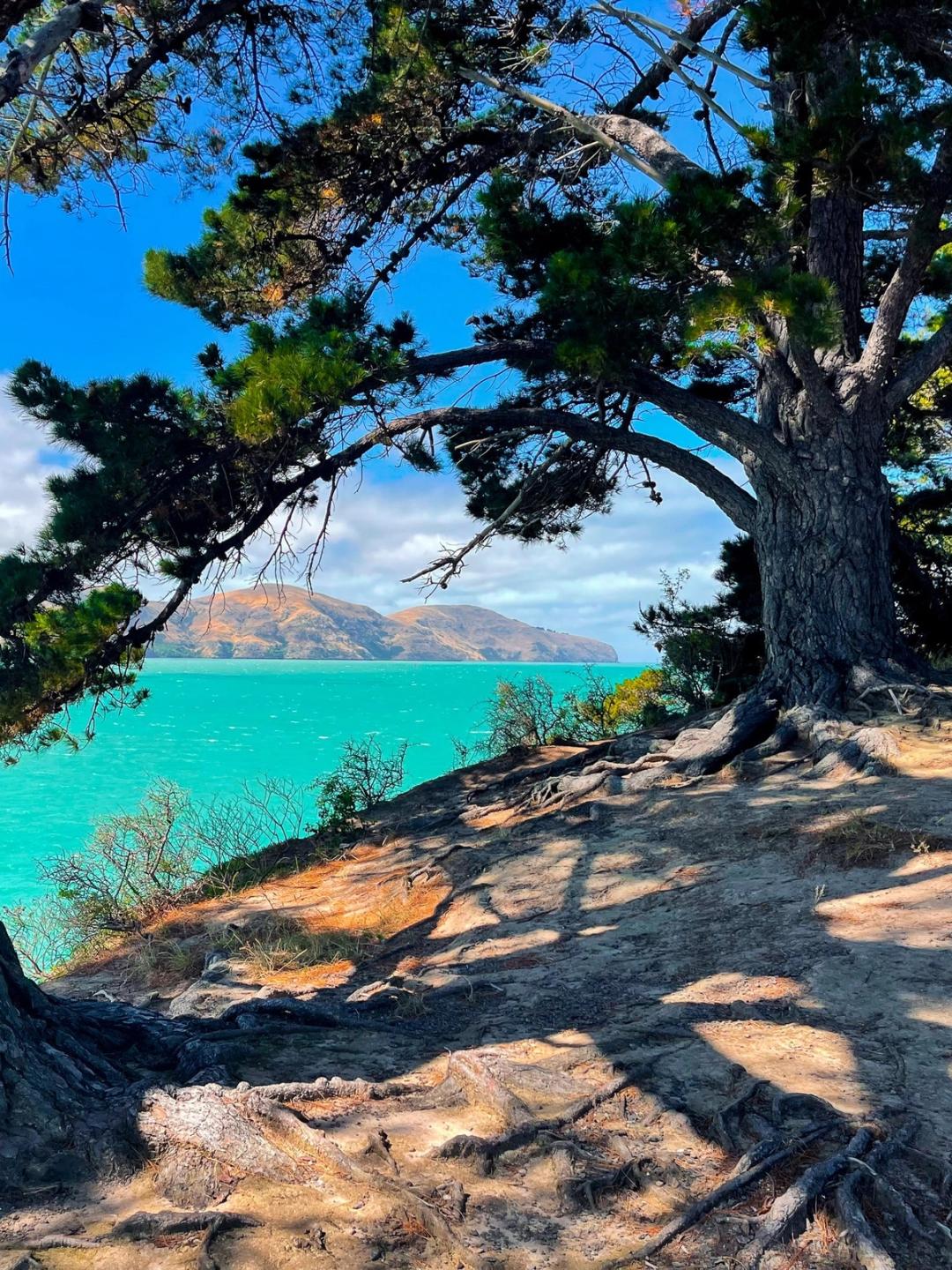 Diamond Harbour | Banks Peninsula - New Zealand Trip Ideas