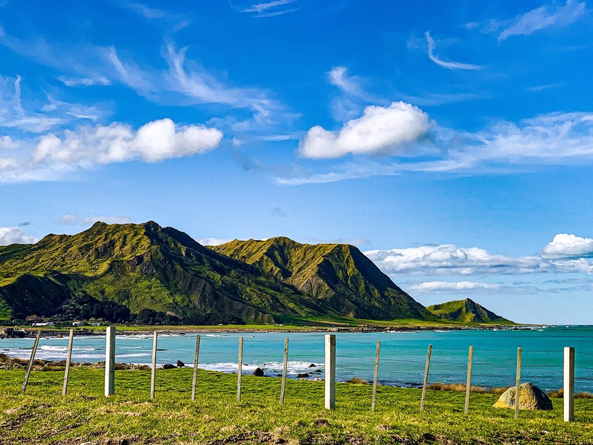 Tora Beaches | Wairarapa - New Zealand Trip Ideas