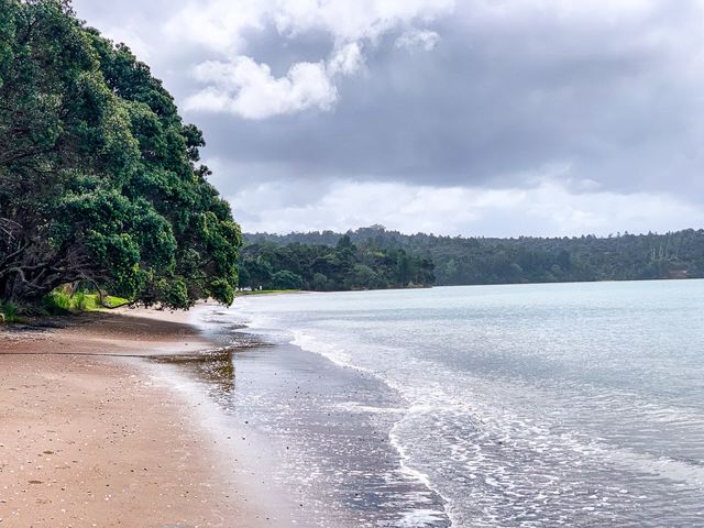 Cornwallis Beach | West Auckland - New Zealand Trip Ideas