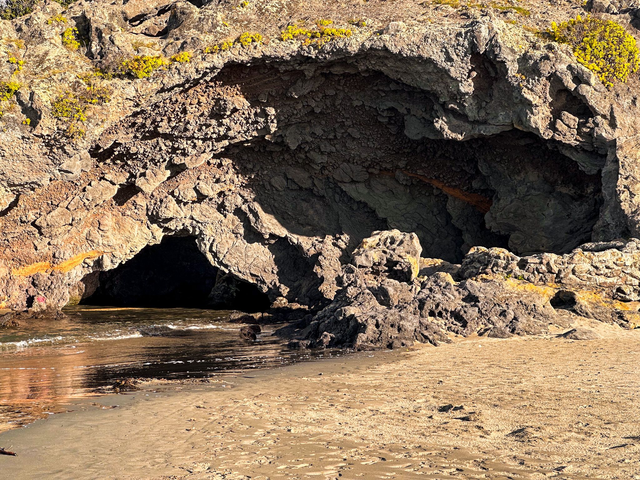 Pegasus Bay | Christchurch - New Zealand Trip Ideas