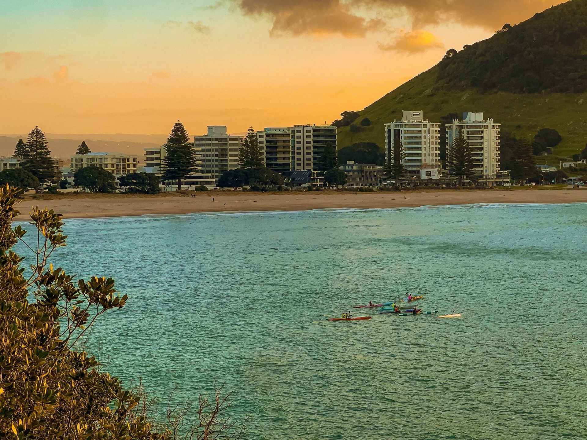 Moturiki Island | Tauranga - New Zealand Trip Ideas