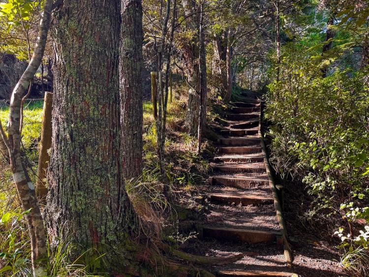 Hibiscus Coast | North Auckland - New Zealand Trip Ideas